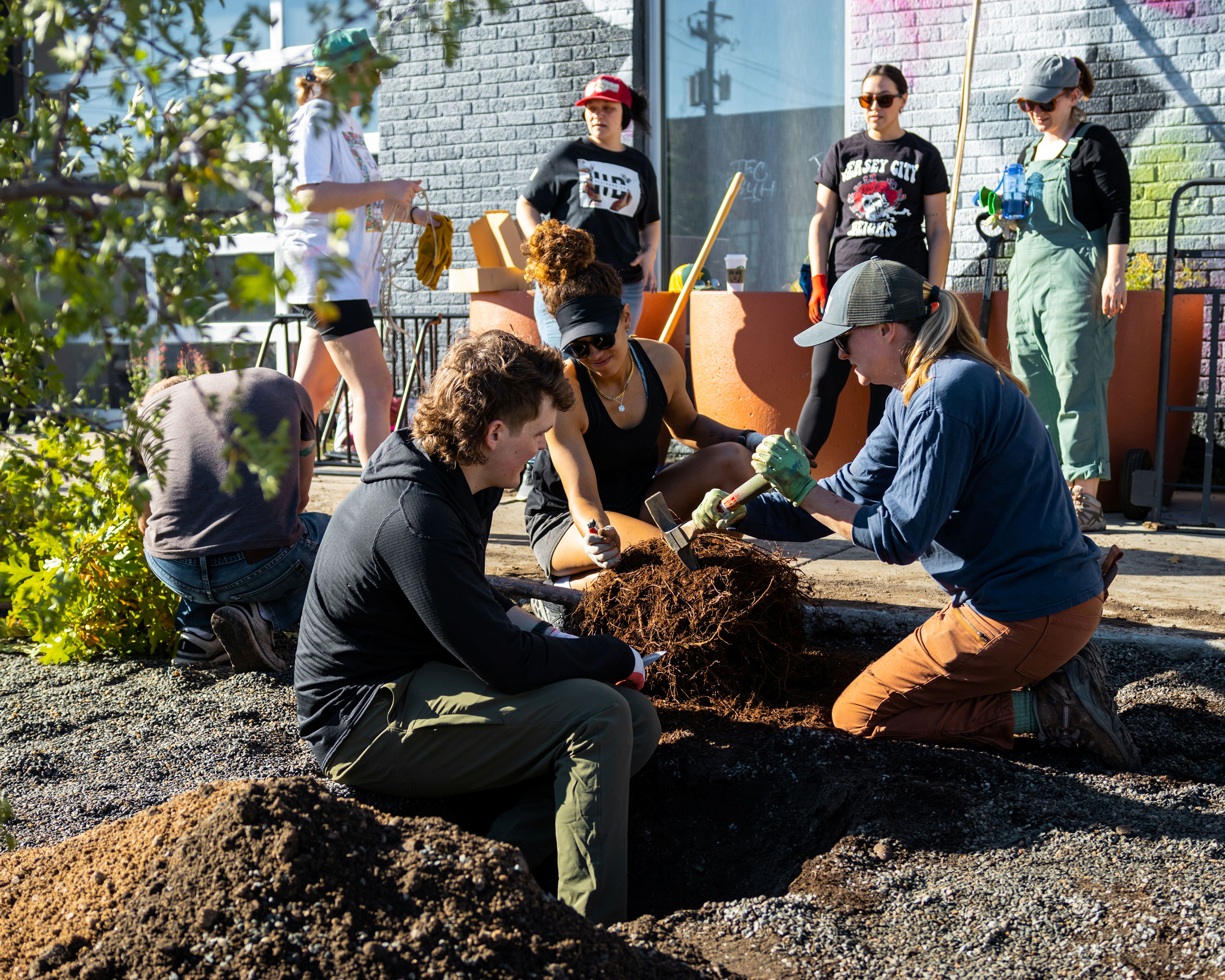 Planning for a Healthier Urban Forest in Denver
