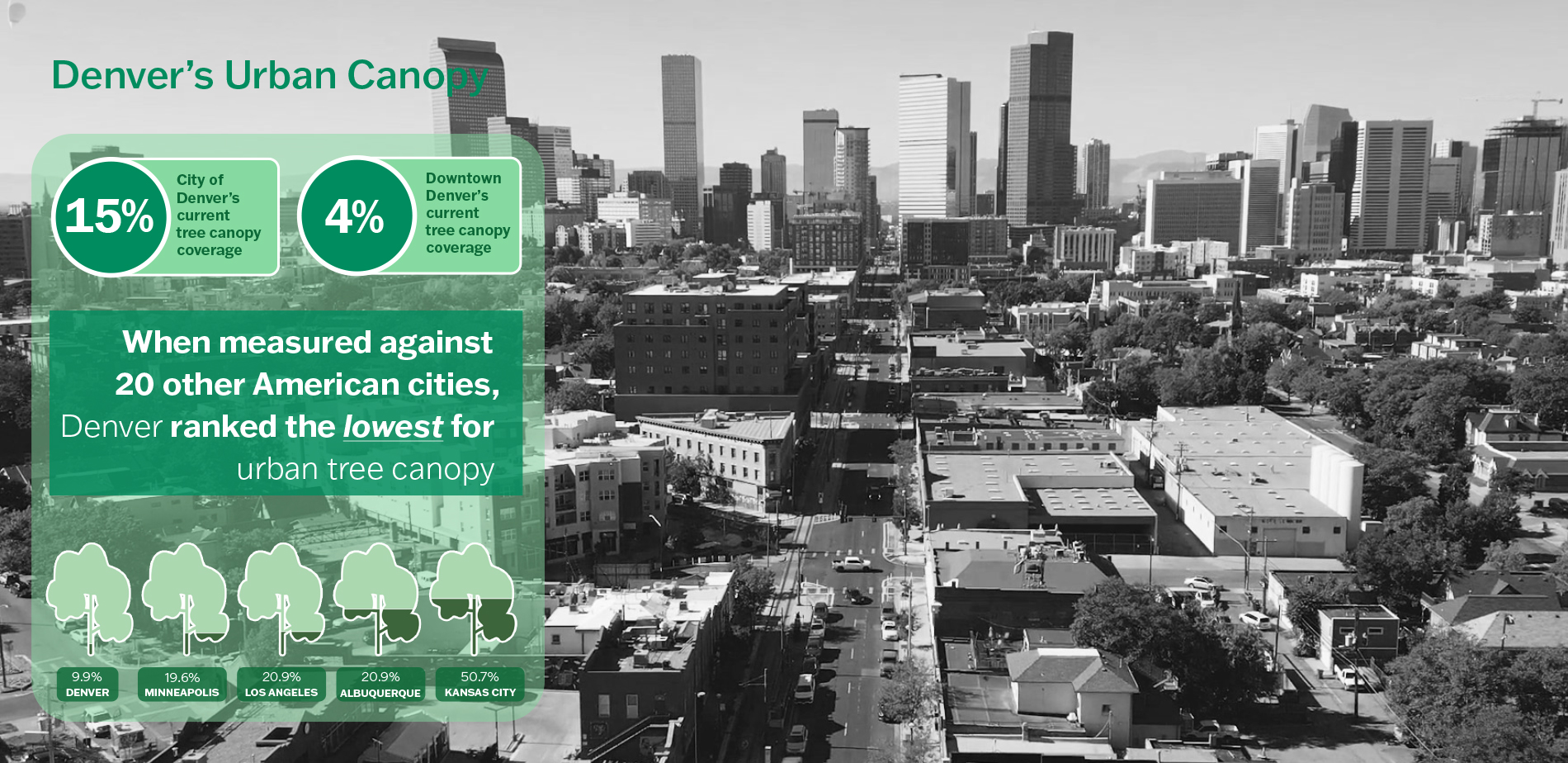 Planning for a Healthier Urban Forest in Denver