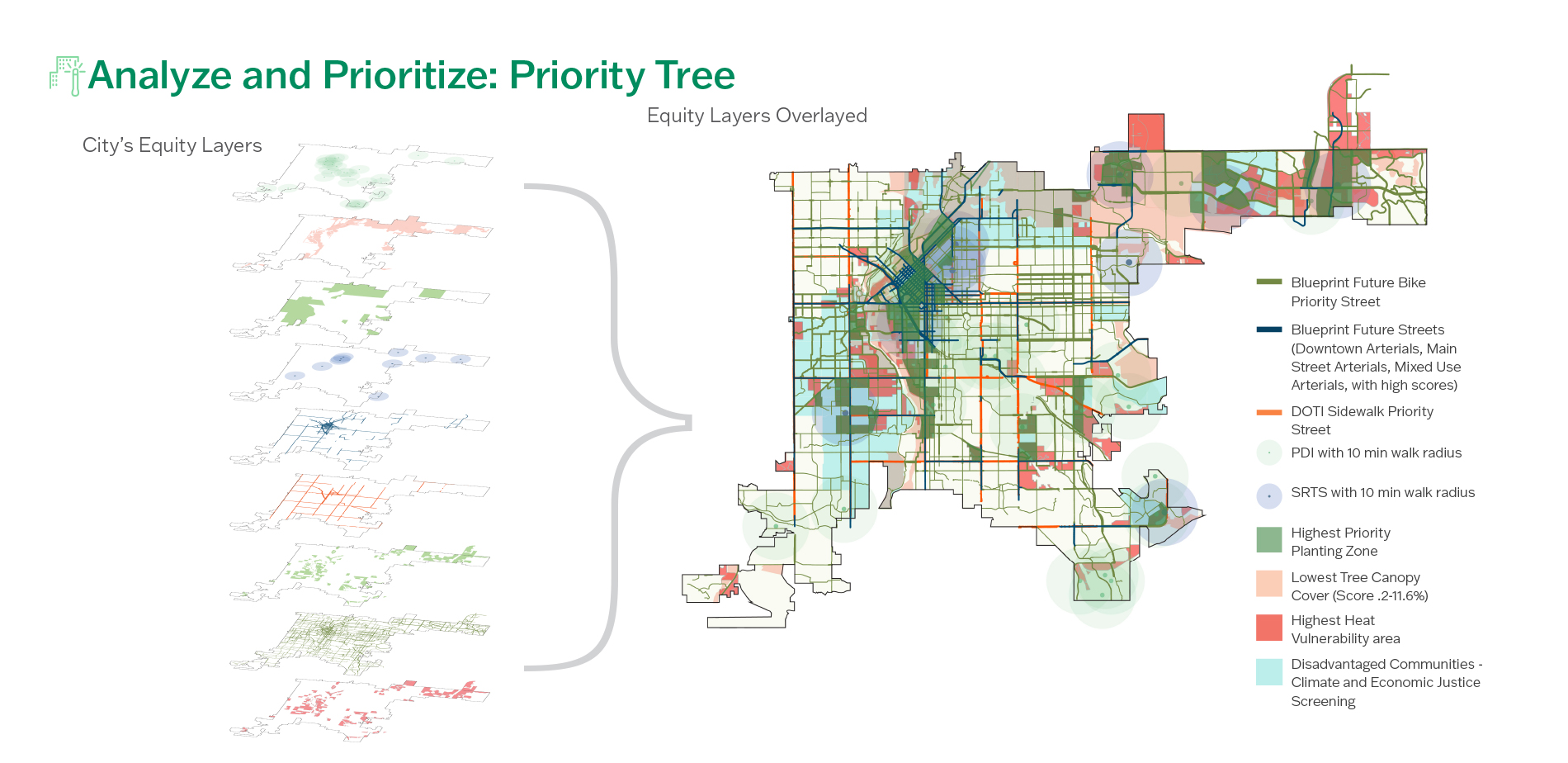 Planning for a Healthier Urban Forest in Denver